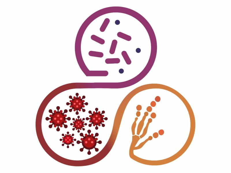 II CONAMIC - II Congresso Nacional de Microbiologia Clínica On-line